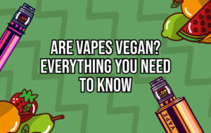Are Vapes Vegan? Everything You Need to Know – Peace-Vape