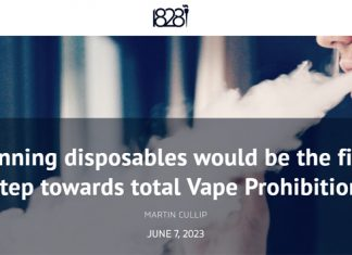 Urge The UK Political Parties To Back Vaping! – Peace-Vape