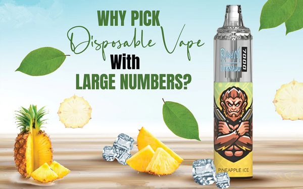 Why Pick Disposable Vape With Large Numbers? – Peace-Vape
