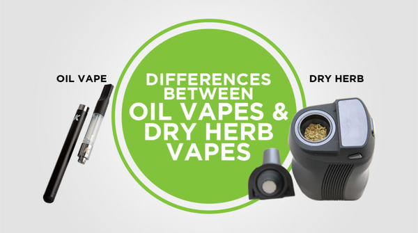 Differences Between Oil Vapes and Dry Herb Vapes – Peace-Vape