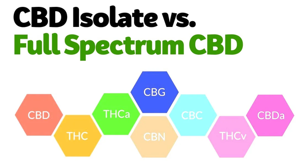 Isolate VS Full Spectrum VS Broad Spectrum CBD — Which One Should You ...